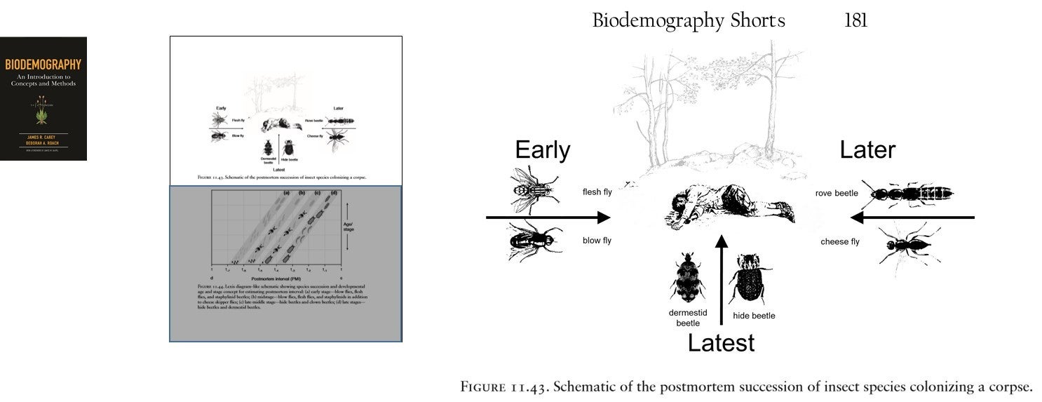 Graphs and charts | Biodemography: An Introduction to Concepts and Methods